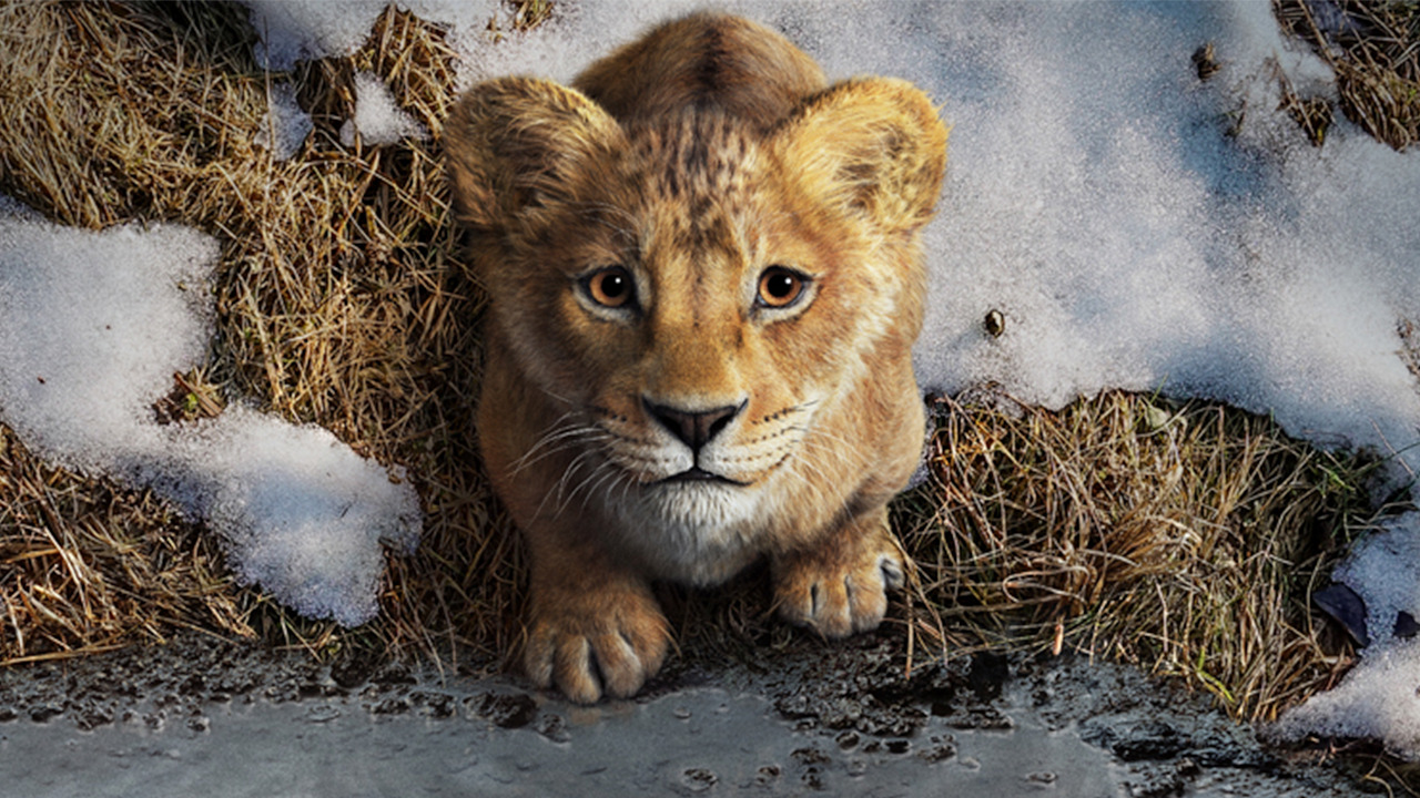 Mufasa The Lion King Release Date, Cast, Plot and Trailer | Season Rant